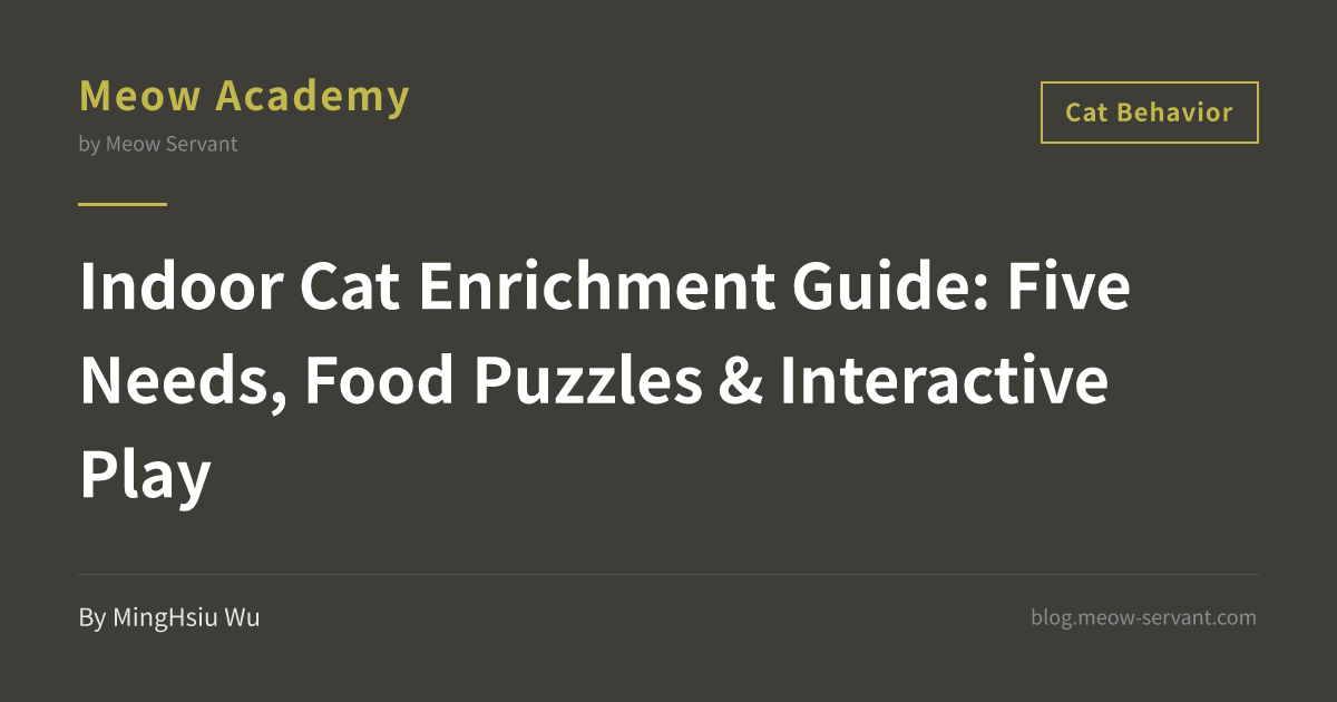 Indoor Cat Enrichment (2026): 15 Vet-Backed Ideas to Stop Boredom ...